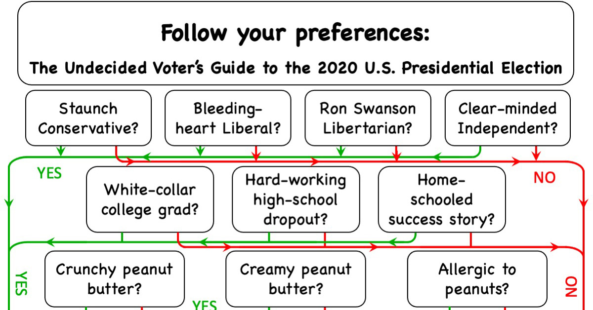 The Undecided Voter’s Guide to the 2020 U.S. Presidential Election ...